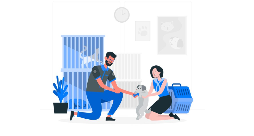 Ensuring Your New House Is Safe for Your Pets